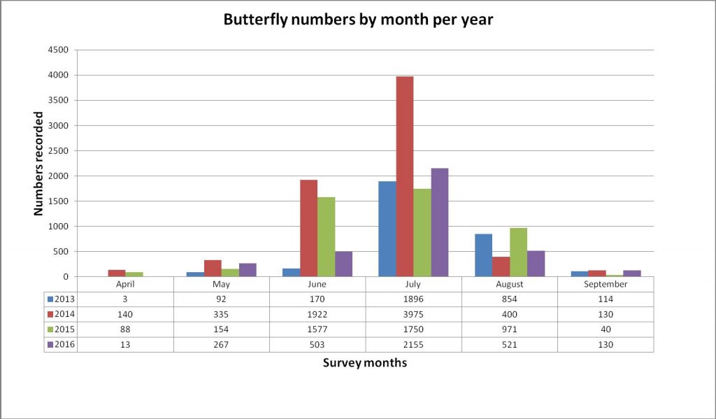 Butterfly Numbers by Month_Year