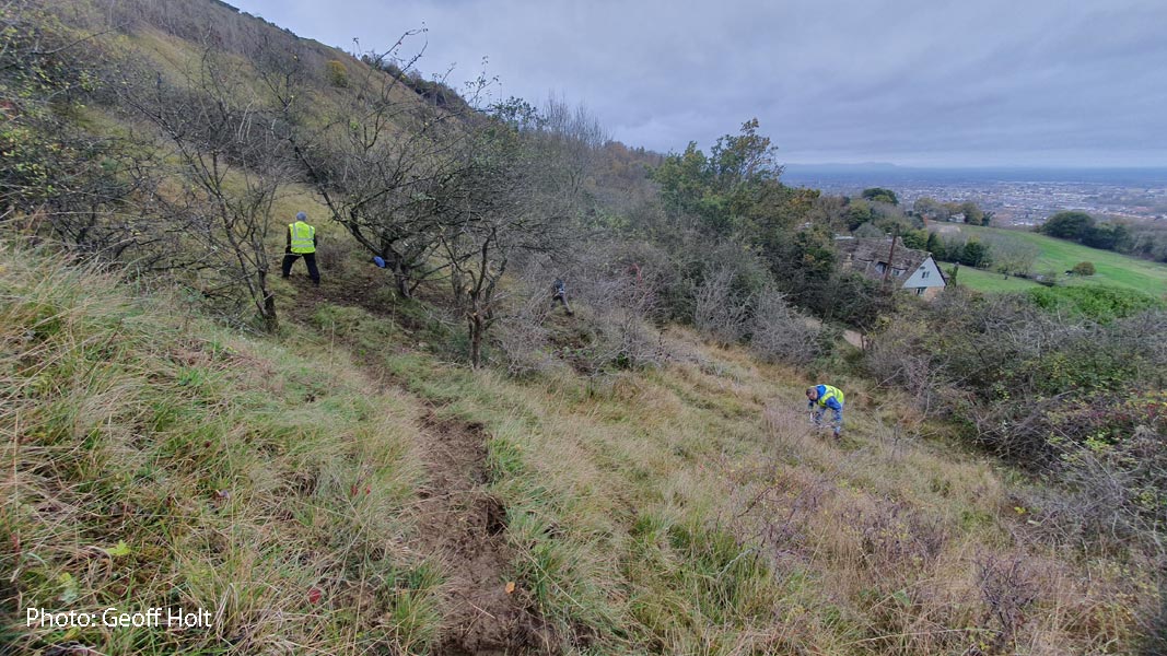 20221110_114958_Clearing-Cattle-Tracks