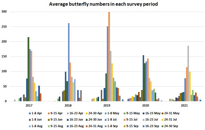 Average Butterfly Numbers